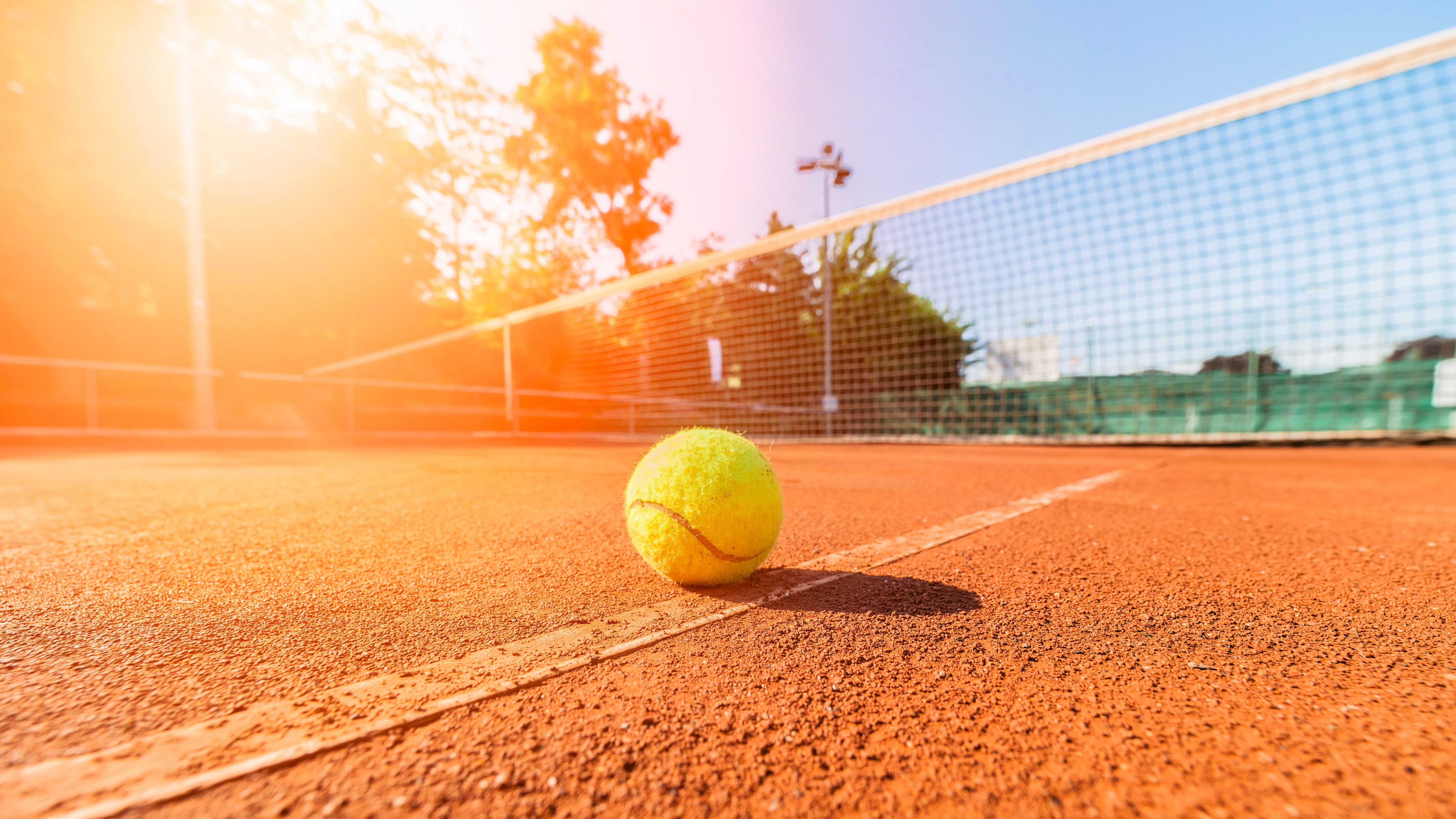 Toss Reglement Zon En Wind toss-reglement-zon-en-wind